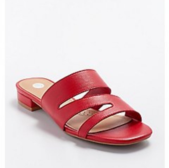 Dress Barn | Shoes | Nwt Womans Dress Barn Mandy | Poshmark